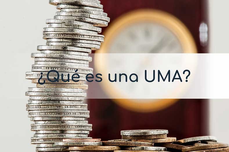 ¿Qué es una UMA en México? y ¿Para que sirve la UMA? | ALU